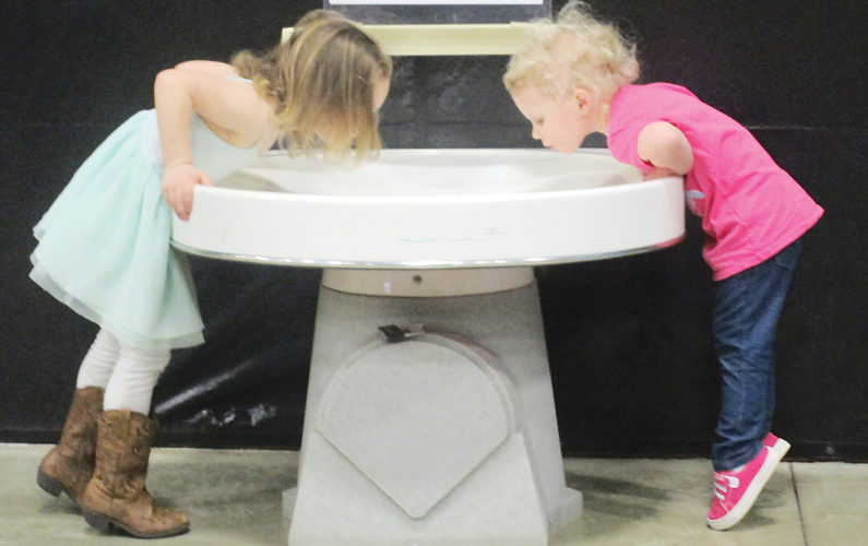 Fundraising begins | News, Sports, Jobs - Minot Daily News